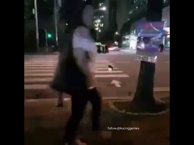 Sorprendido con este gato ... | Jefe Jefe